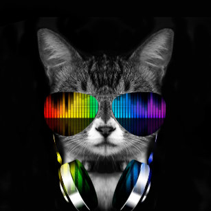 Catty Music App